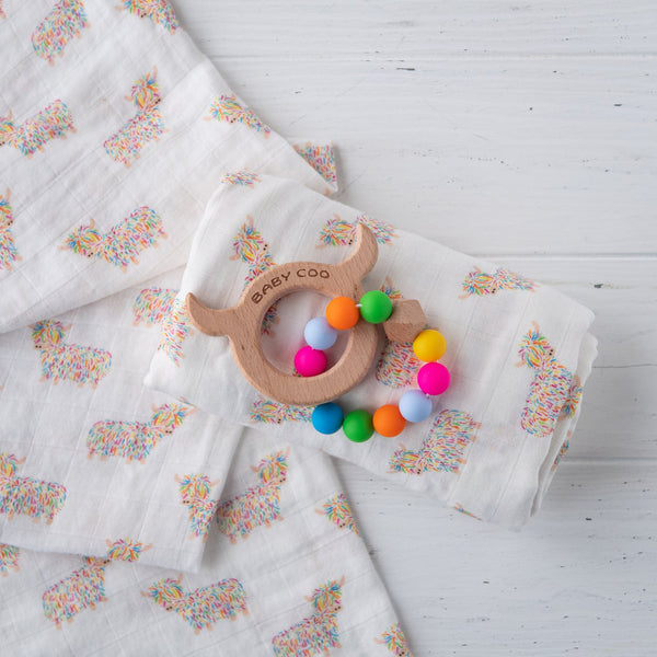 Baby Coo - Teething Set – Baby at the Bank